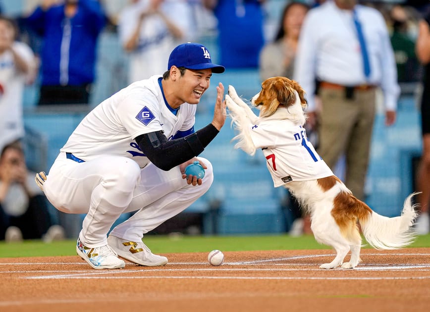 Ohtani Co-Writes Kids' Book About His Dog Decoy | DMM英会話 デイリーニュース
