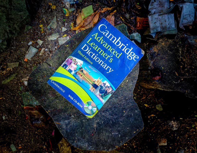 What Language Has the Most Words? | Engoo 每日新聞