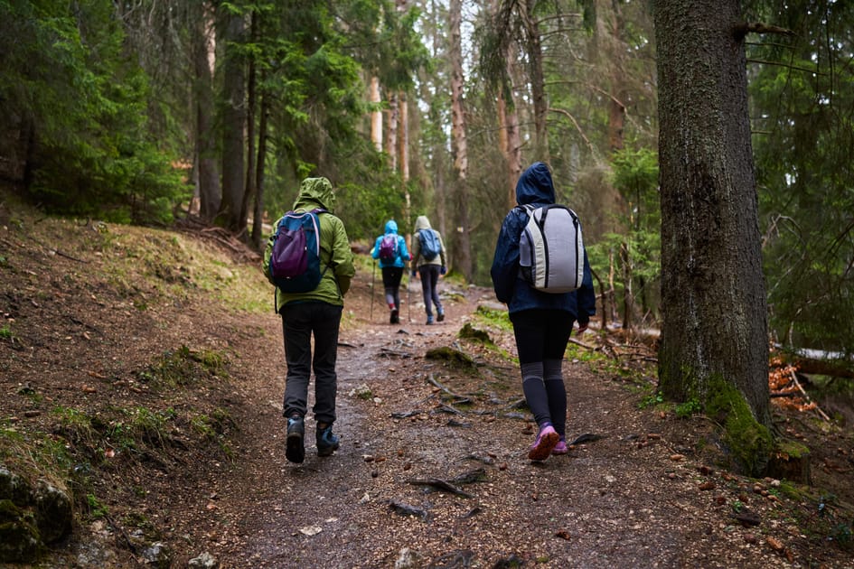 Hiking Affects Animal Behavior More than We Think | DMM英会話 デイリーニュース