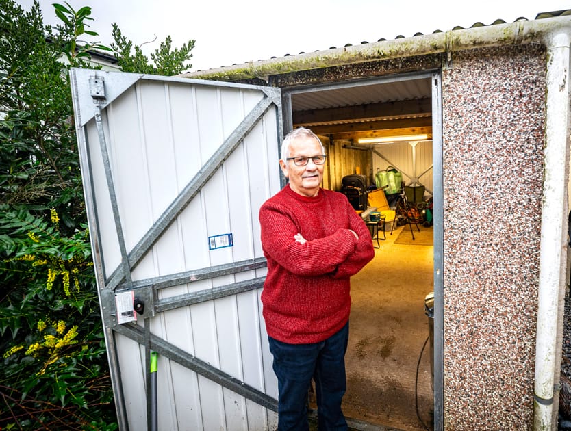 Meet 'Welsh Tidy Mouse': The Animal that Tidies at Night | Engoo Daily News