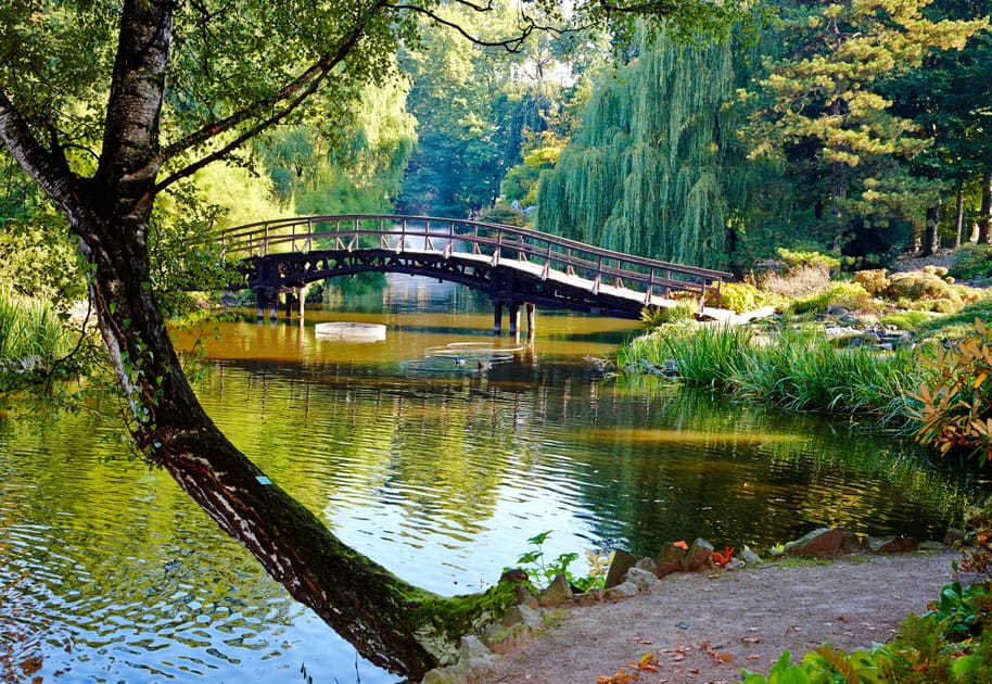 Botanical Gardens May Cool City Air by 5 Degrees | Engoo 每日新聞