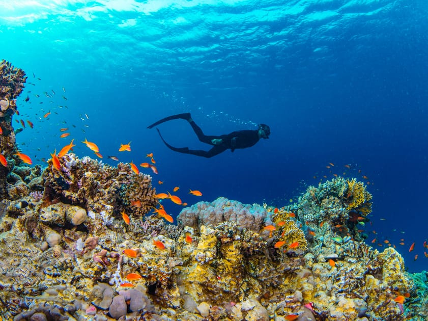 How Long Can Humans Hold Their Breath? | Engoo Daily News