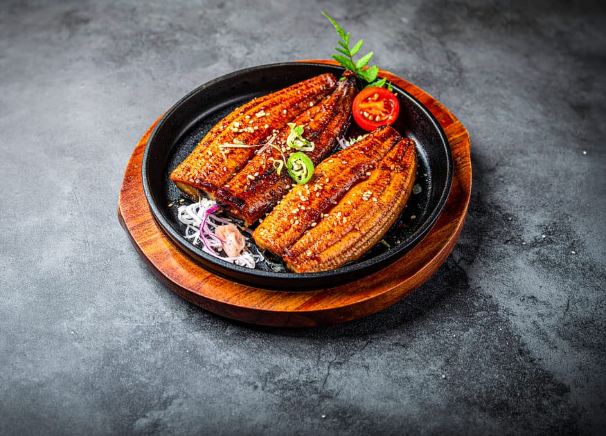 'Fully Farmed' Eels on Sale in Japan for First Time | Engoo Daily News