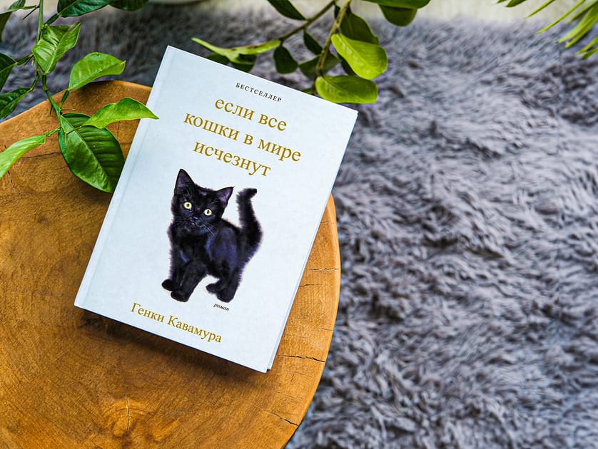 Russia Falls in Love with a Japanese Cat Story | Engoo