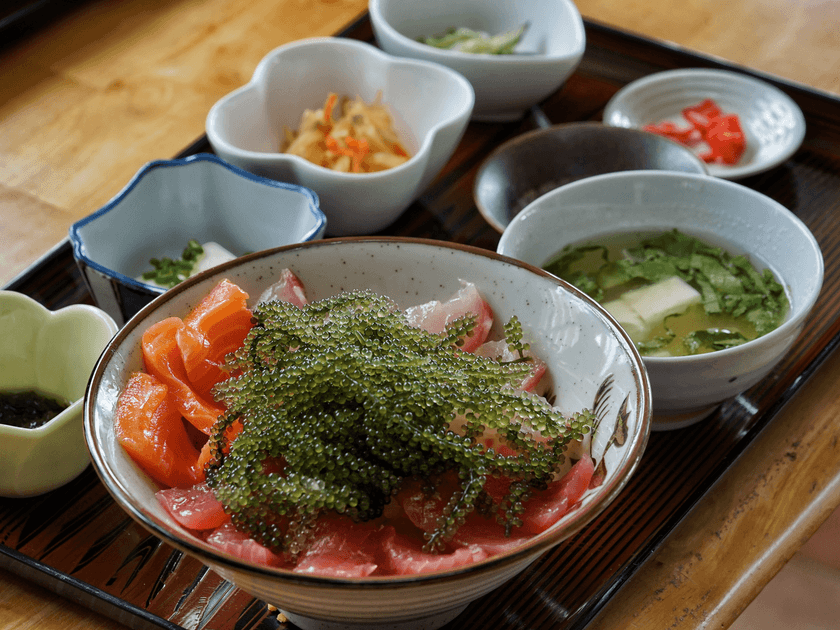 Recipe to a Long Life: What Is the Okinawan Diet? | Engoo 每日新聞