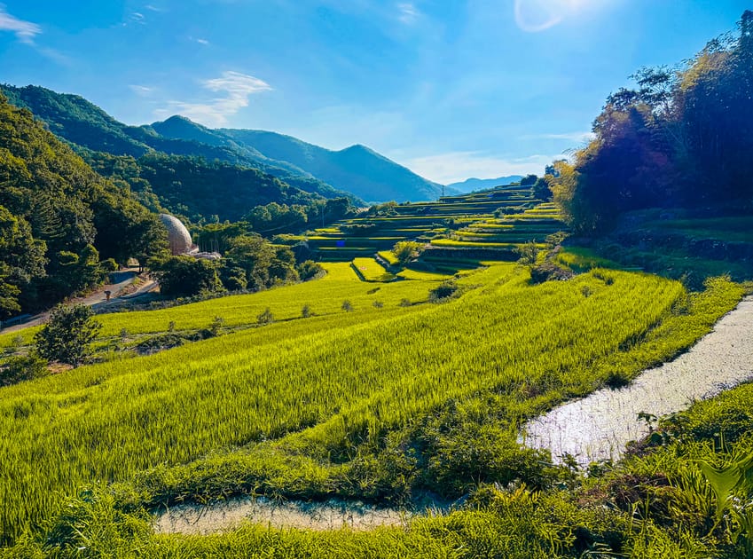 Japan Climate Report Calls for Urgent Action | ข่าวประจำวัน Engoo