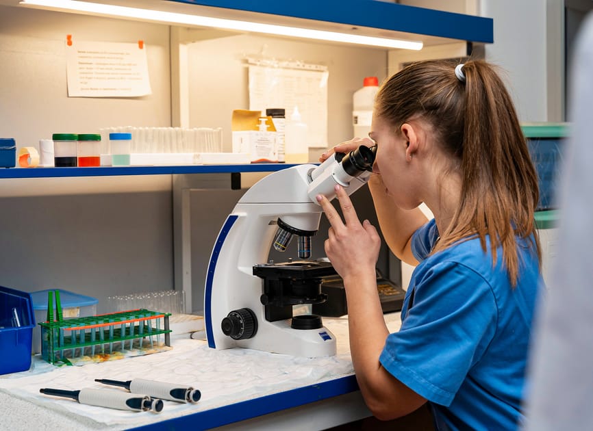 Scientists Map Out the Human Body One Cell at a Time | Engoo Daily News