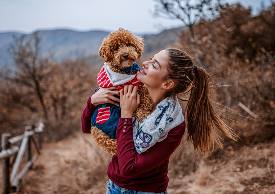 Time with Dogs Helps People Concentrate and Relax | Engoo Daily News