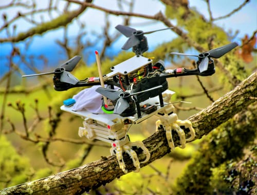 Meet SNAG: The Bird-Like Drone With 'Falcon' Legs | ข่าวประจำวัน Engoo