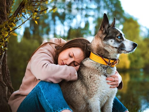 Study Suggests Dogs Can Smell Stress in Humans | Engoo Daily News