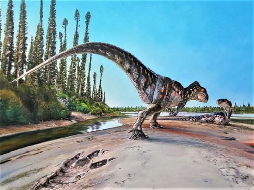 Crouching Dinosaur Made Hidden Print, Say UK Scientists | DMM英会話 デイリーニュース