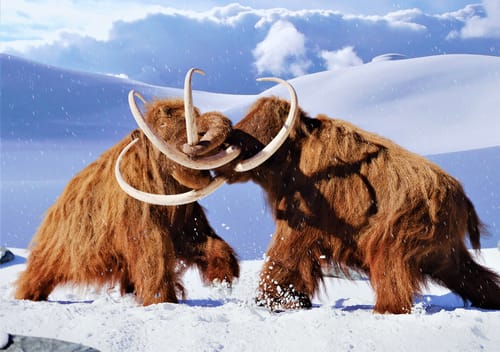 Only Bones Left: Fascinating Extinct Megafauna | Engoo Daily News