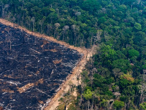 UN Report: Climate Change May Become Irreversible | Engoo 每日新聞