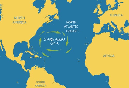 The Bermuda Triangle | Engoo