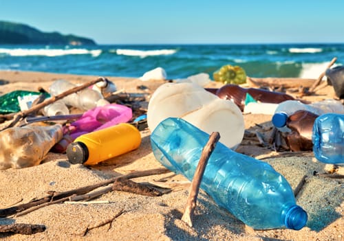 Scientists Discover New Bacteria that Feeds on Plastic | Engoo 每日新聞