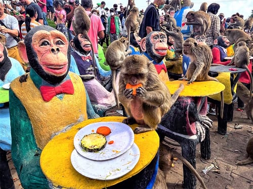 Monkey Feast Festival Celebrated in Central Thailand | Engoo Daily News