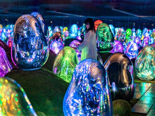 Explore the Digital Art Museum teamLab Planets Tokyo | Engoo Daily News