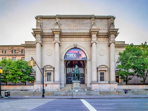 A Day at the American Museum of Natural History | ข่าวประจำวัน Engoo