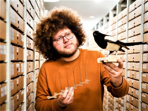 Birds Use Spikes in Nests, Outsmarting Humans | Engoo Daily News