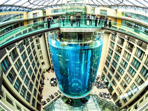 Huge Berlin Aquarium Bursts, Killing Hundreds of Fish | Engoo Daily News