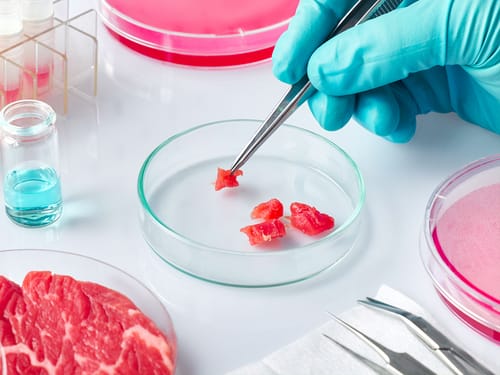 US Approves the Nation's First 'Lab-Grown' Meat | Engoo Daily News