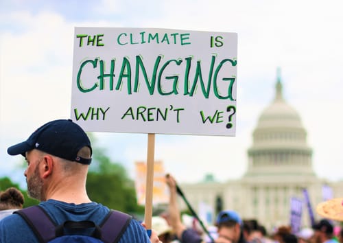 Want To Fight Climate Change? Here's How | Engoo Daily News