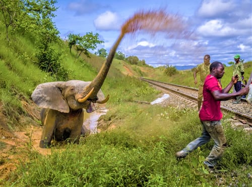 Beautiful, Fragile: Nature Competition's Winning Photos | Engoo Daily News