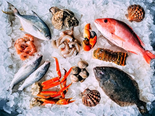 These Seafoods Are Best for Your Health and the Planet | Engoo Daily News