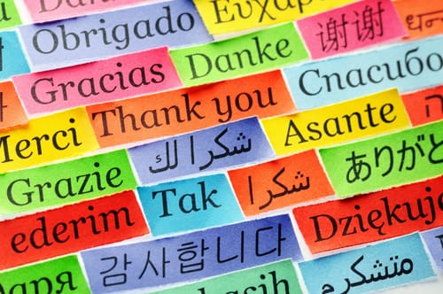Six Language Facts That May Surprise You | Engoo